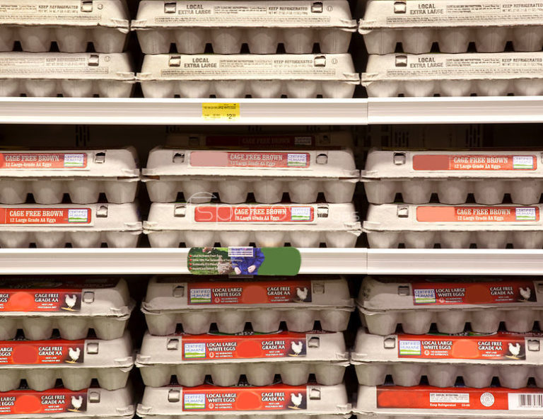 Which Eggs Should I Buy? - Understanding the Egg Carton Label